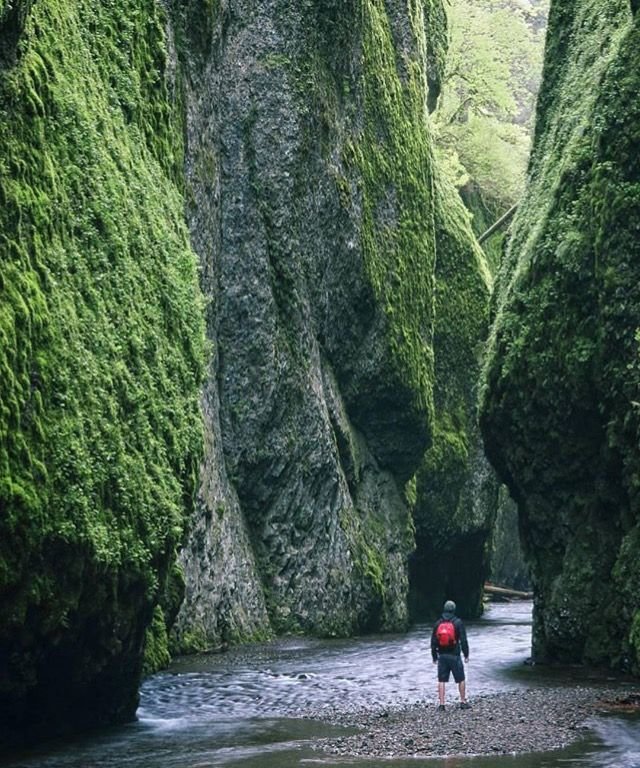 40 Best Solo Travel Destinations in the US for Adventure